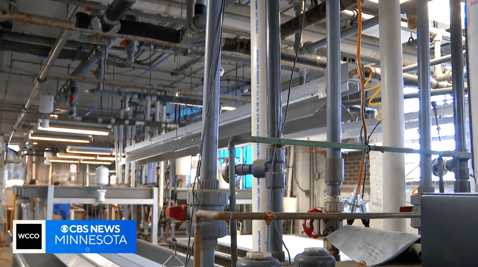 WCCO: A Minnesota fish hatchery facing challenges to fund updates ...